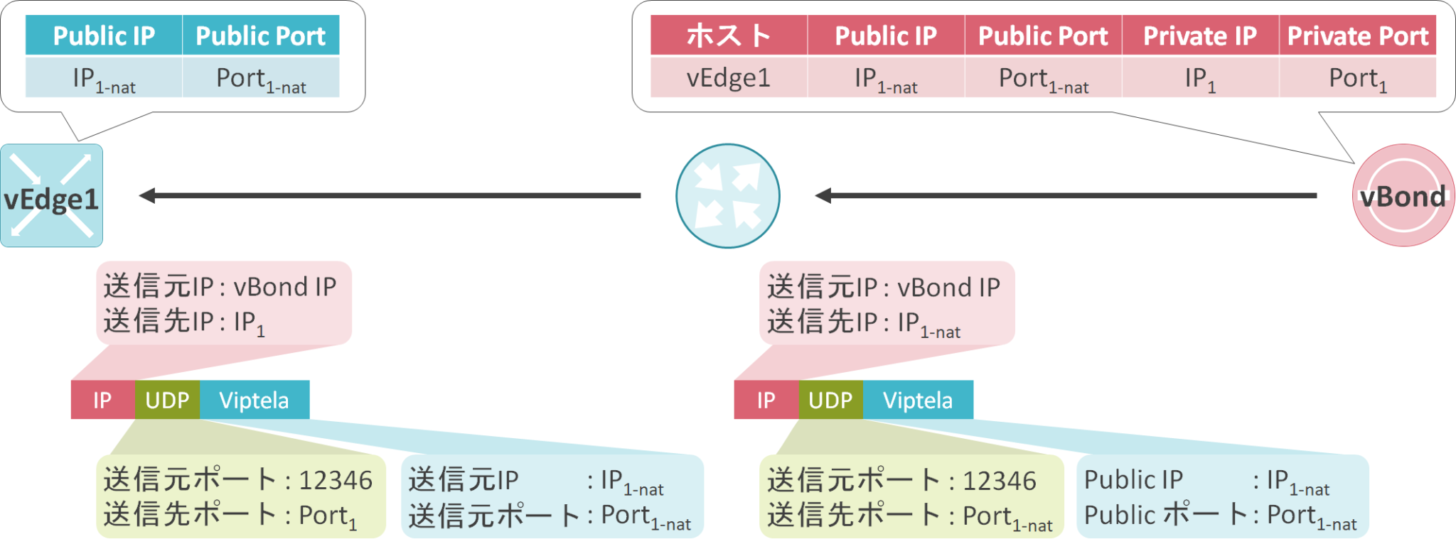 Viptela Colorのタイプ | ゆるふわねっとわーく
