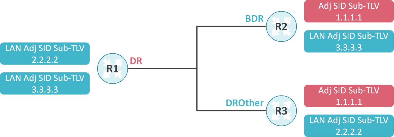 Segment Routing OSPF – LAN Adjacency SID | ゆるふわねっとわーく