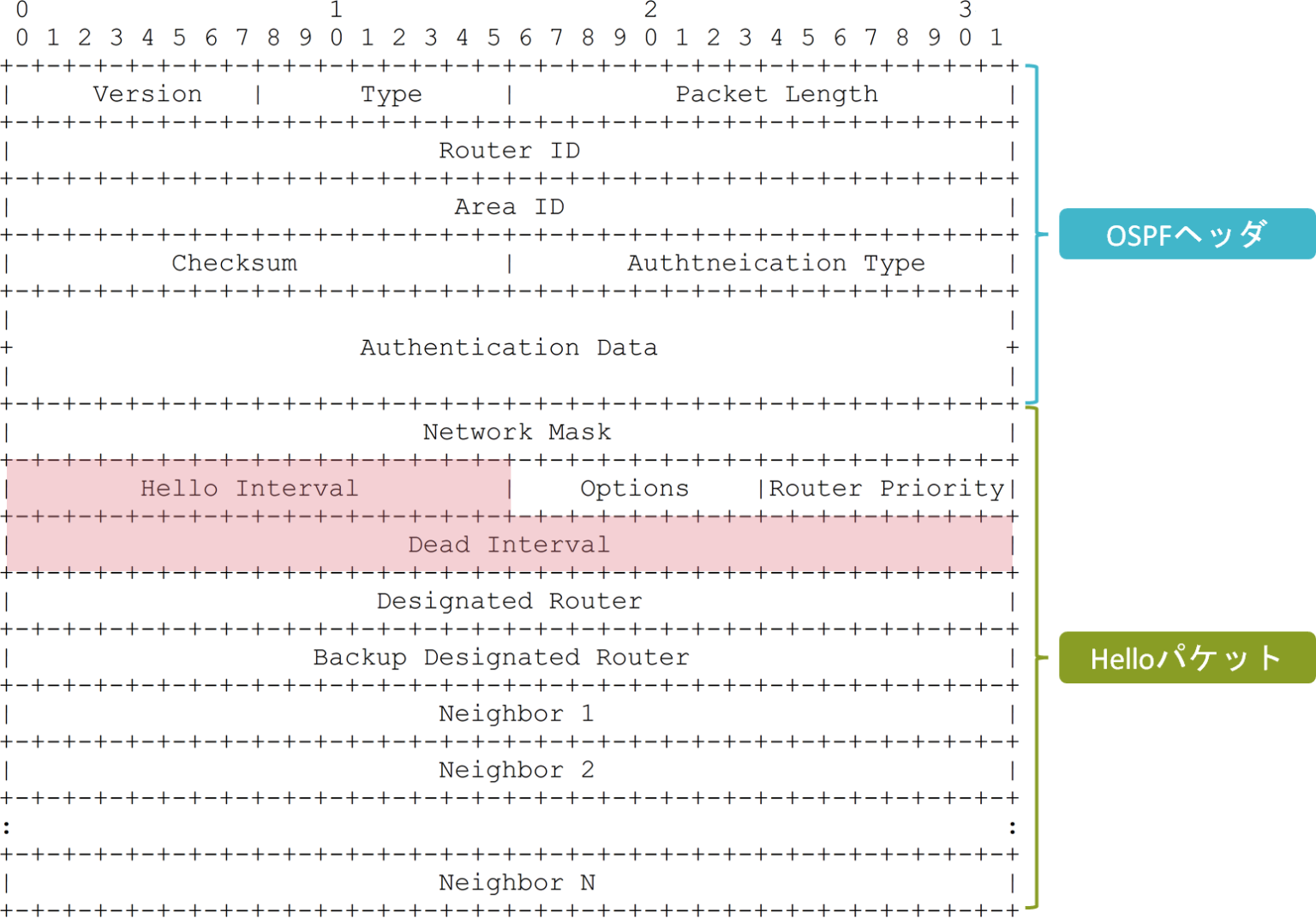 OSPF Hello/Dead Interval | ゆるふわねっとわーく